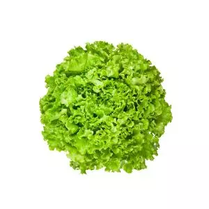 Lechuga crespa